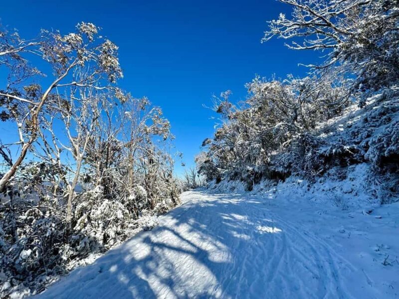 Melbourne: Mount Baw Baw Private Snow Tour with Guide - Who Would Love This Tour?