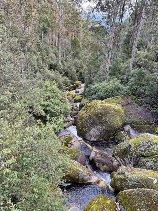 Melbourne: Mount Baw Baw Private Snow Tour with Guide - Frequently Asked Questions