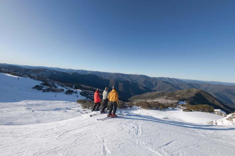 Melbourne: Mt Buller Snowy Escape Trip - 6 Hours of Snow Fun - Practical Details and Tips