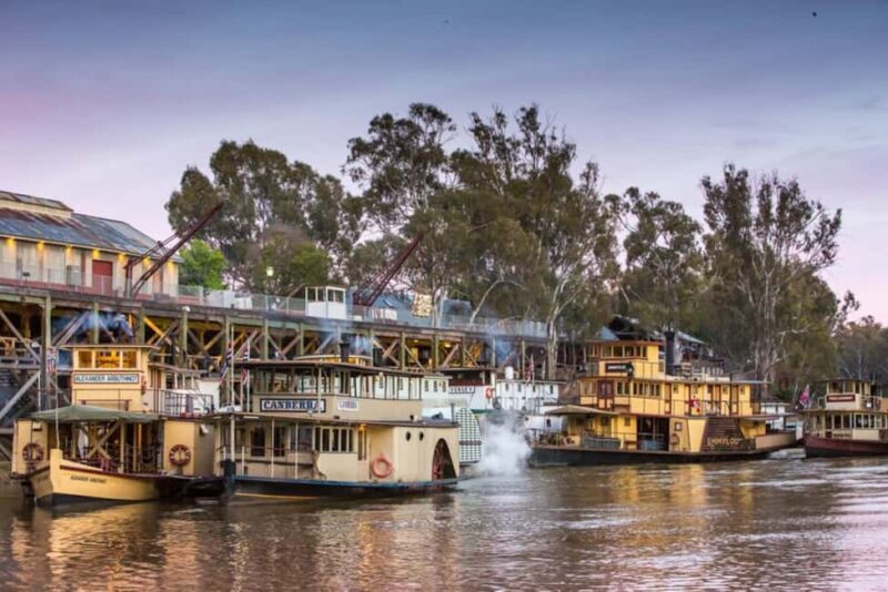 Melbourne: Murray River Paddle Steamer, Wine & Wildlife Tour - The Experience’s Value