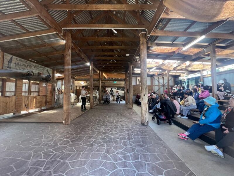 Melbourne: Penguin Parade & Churchill Island Farm Tour - Frequently Asked Questions