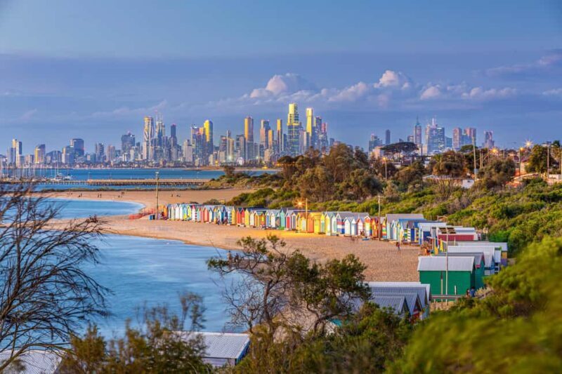 Melbourne: Penguin Parade , Koala & Brighton Bathing Boxes - Why This Tour Offers Real Value