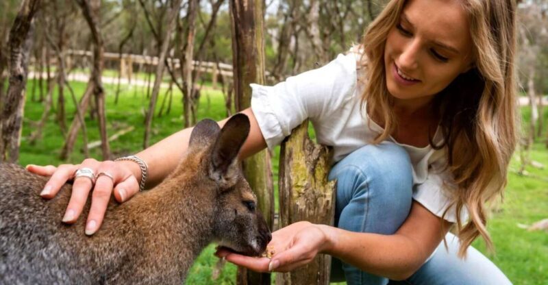 Melbourne: Peninsula Nature Private Day Trip with Dinner - Key Points