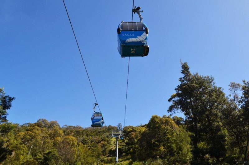 Melbourne: Peninsula Sightseeing Driving Day Tour - FAQs