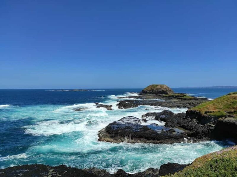Melbourne: Phillip Island Penguin Parade Watching Day Tour - FAQ