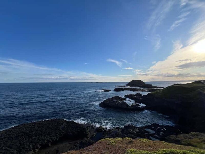 Melbourne: Phillip Island Private Tour including tickets - What Makes This Tour Stand Out