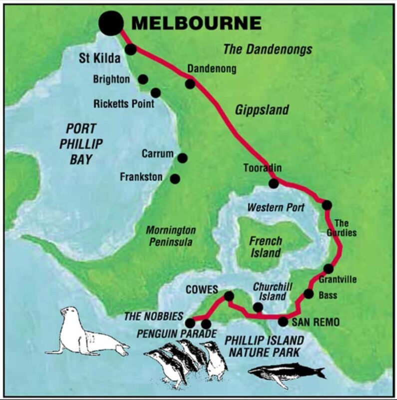 Melbourne: Phillip Island Private Tour with Penguin Parade - An In-Depth Look at the Tour Experience