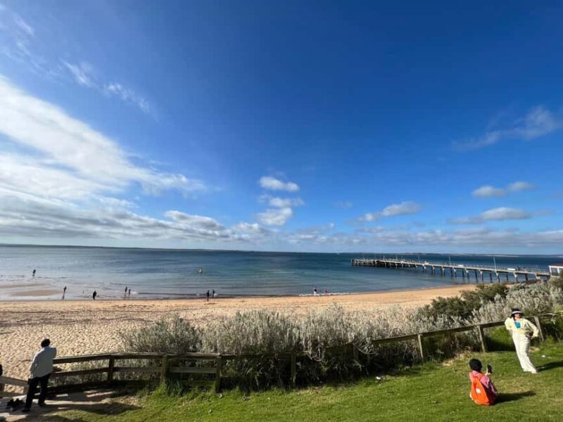 Melbourne: Phillip Island Private Trip with Penguin Parade - The Itinerary: From Melbourne to Wildlife and Coastal Marvels