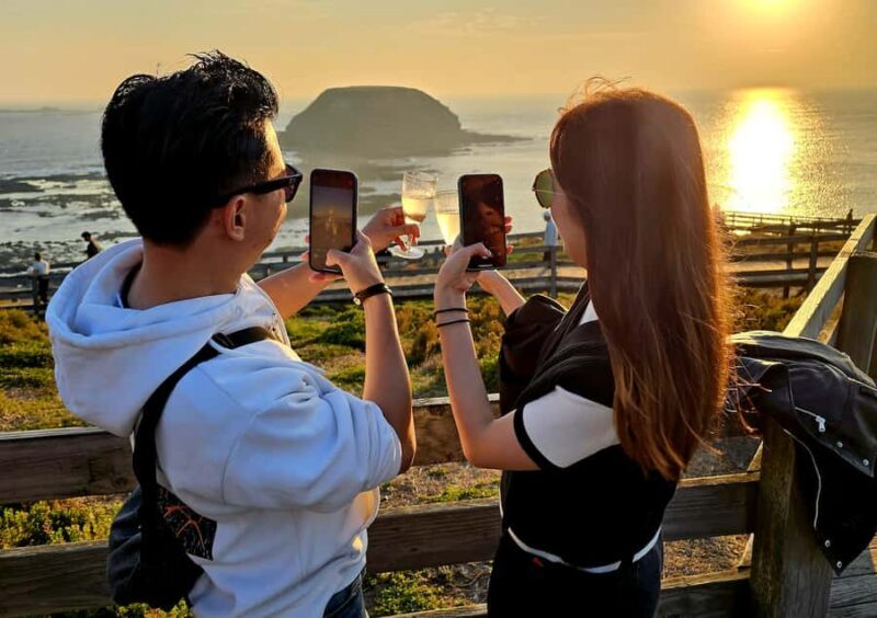 Melbourne: Phillip Island Tour w/ Hop-on Bus or Seal Cruise - A Detailed Look at the Tour Experience