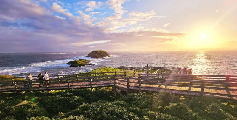 Melbourne: Phillip Island Tour w/ Hop-on Bus or Seal Cruise - The Itinerary: A Deep Dive into What Makes It Special