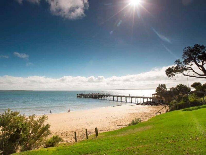 Melbourne: Phillip Island Tour w/ Hop-on Bus or Seal Cruise - Detailed Breakdown: What You Should Expect