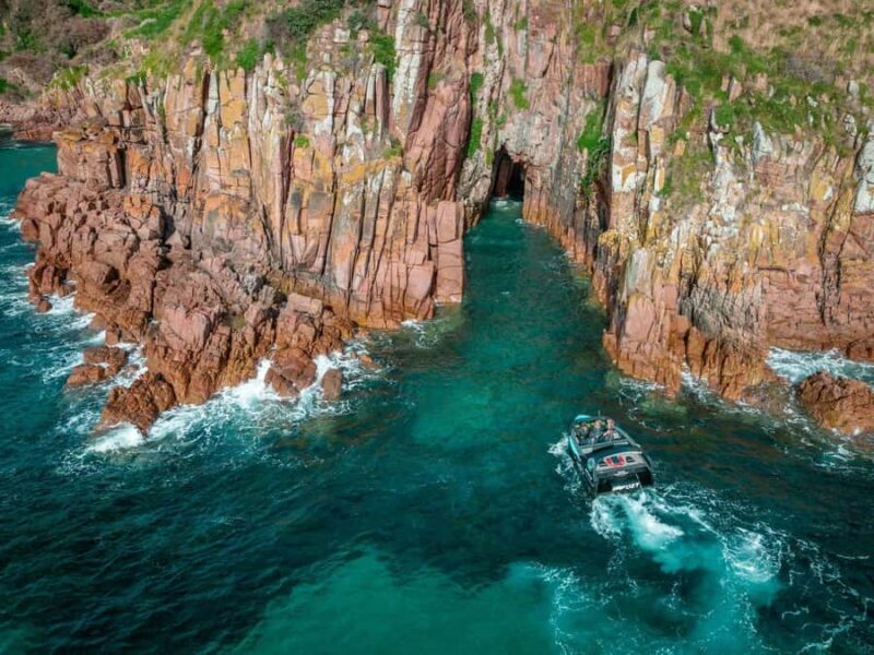 Melbourne: Phillip Island Tour with Koalas & Penguins - The Journey Begins: Comfort and Convenience