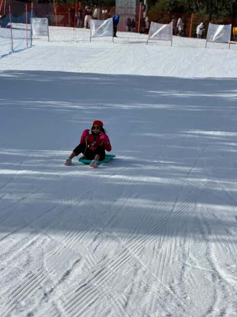 Melbourne: Private Lake Mountain Snow & Redwood Forest Tours - Exploring the Natural Wonder of Lake Mountain and Beyond