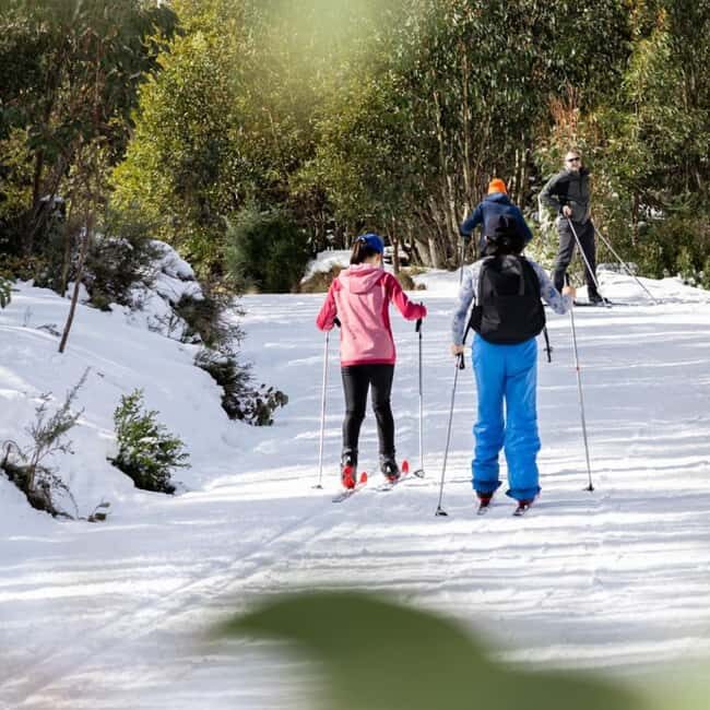 Melbourne: Private Lake Mountain Snow & Redwood Forest Tours - Who Will Love This Tour?