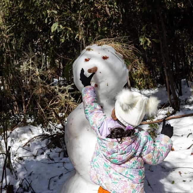 Melbourne: Private Lake Mountain Snow & Redwood Forest Tours - Frequently Asked Questions