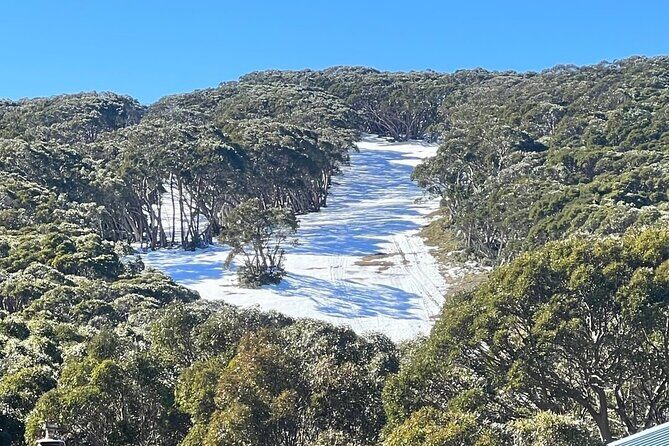 Melbourne: Private Lake Mountain Snow Tours & Redwood Rain Forest - FAQs About the Tour