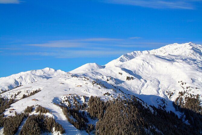 Melbourne: Private Mount Buller Snow and Ski Tours - Final Thoughts: Who Will Love This Tour?