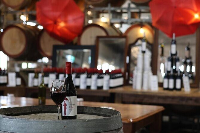 Melbourne Private Penguins Tour wildlife Wine Tour - Authentic & Fun Reviews