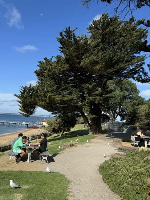 Melbourne: Private Phillip Island Penguin Parade Tours - Final Thoughts