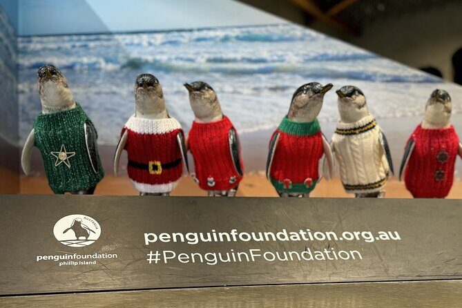 Melbourne: Private Phillip Island Penguin Parade & Wildlife Tours - Key Points
