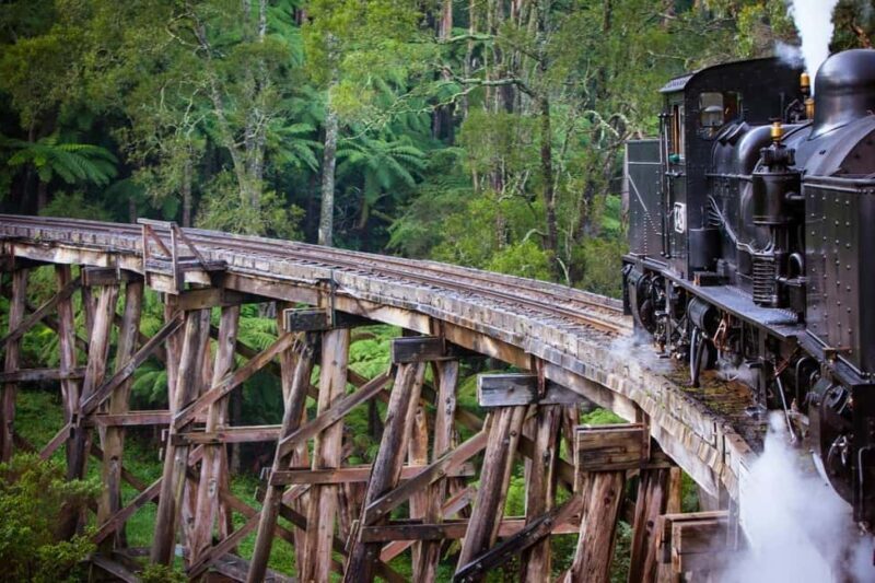 Melbourne: Private Puffing Billy Steam Train Ride - An Overview of the Experience
