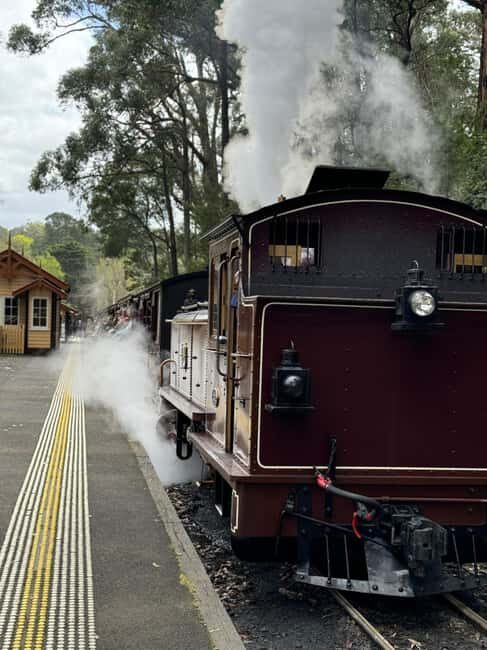 Melbourne: Private Puffing Billy Steam Train Ride - Practical Considerations