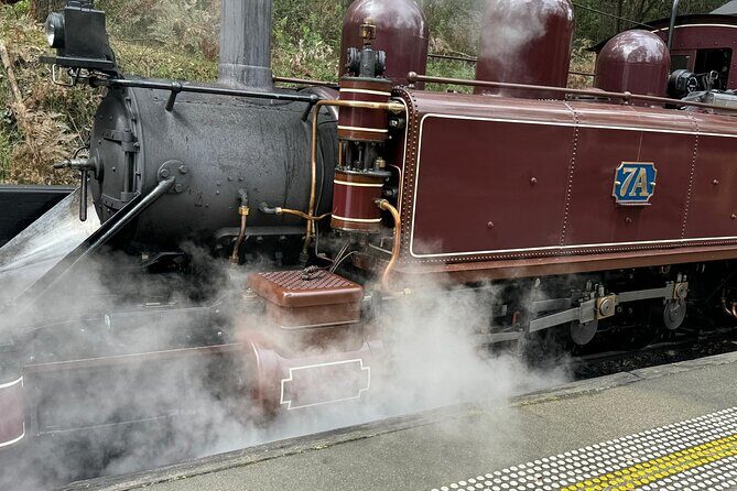Melbourne: Private Puffing Billy Train & Phillip Island Tours - An In-Depth Look at the Tour Experience