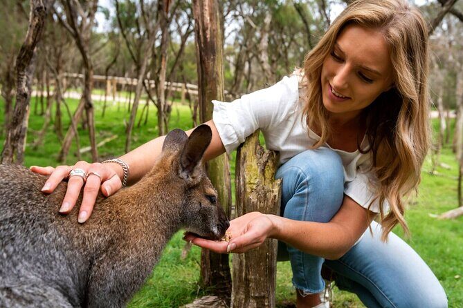 Melbourne Private Tour: Highlights & Hidden Gems with a local - Authenticity and Trustworthy Insights