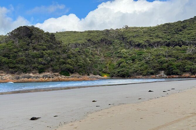 Melbourne: Private Wilson Promontory National Park Day Tours - Tidal River: The Heart of the Park