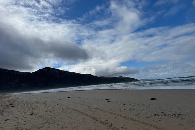 Melbourne: Private Wilson Promontory National Park Day Tours - Refuge Cove: Secluded Coastal Sanctuary