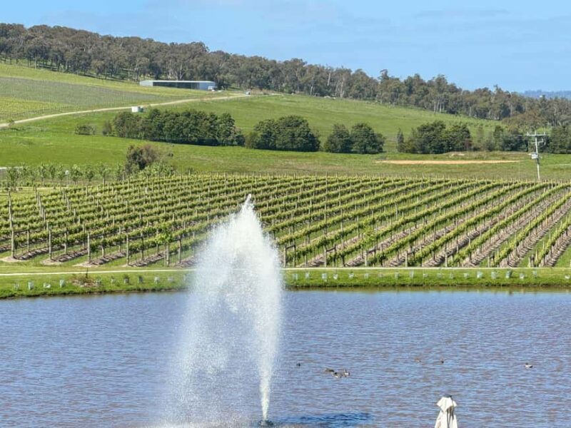 Melbourne: Private Wine tasting Yarra Valley Tours - Accessibility and Considerations