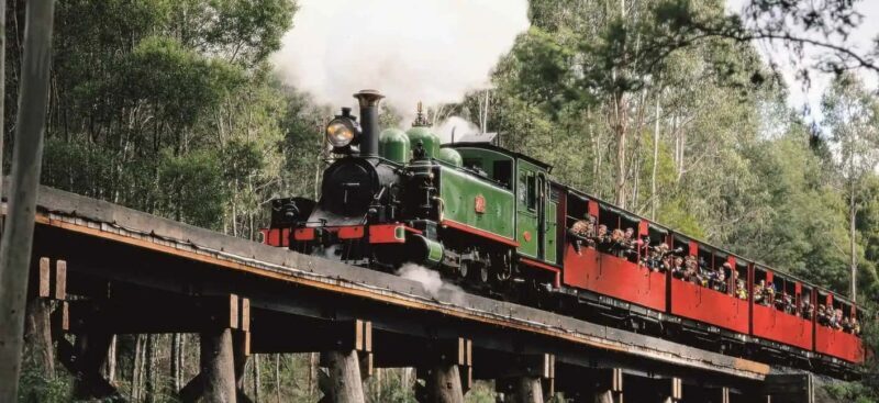 Melbourne: Puffing Billy and Moonlit Sanctuary Day Tour - Practical Tips for Travelers