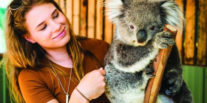 Melbourne: Puffing Billy and Moonlit Sanctuary Day Tour - Who Is This Tour Best For?