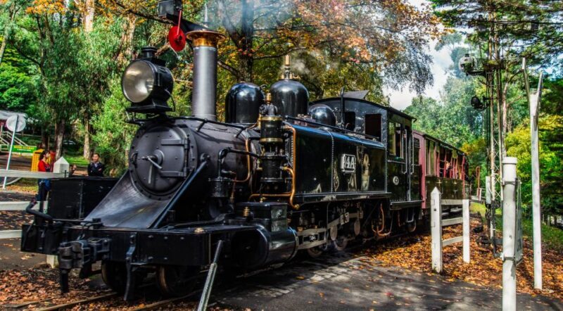 Melbourne: Puffing Billy & Healesville Sanctuary Scenic Tour - What to Expect on This Tour