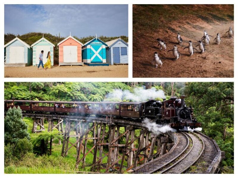 Melbourne: Puffing Billy Penguin Parade Brighton Boxes Tour - Key Points