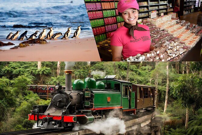 Melbourne Puffing Billy Penguin Yarra Valley Wine choc Tour - Exploring the Melbourne Puffing Billy Penguin Yarra Valley Wine Chocolate Tour