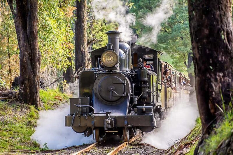 Melbourne Puffing Billy & Penguins Day Tour - An Introduction to the Tour Experience