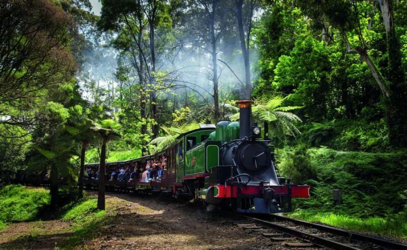 Melbourne Puffing Billy & Penguins Day Tour - The Reality: Are There Drawbacks?