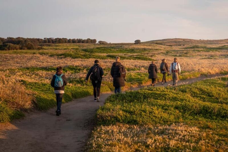 Melbourne Puffing Billy & Penguins Day Tour - Who Is This Tour Best Suited For?