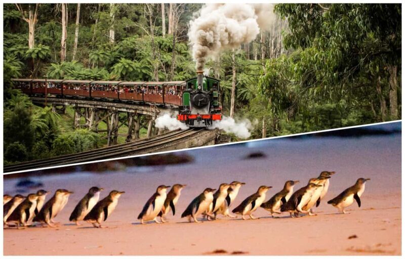 Melbourne: Puffing Billy Railway & Penguin Parade Day Tour - Key Points