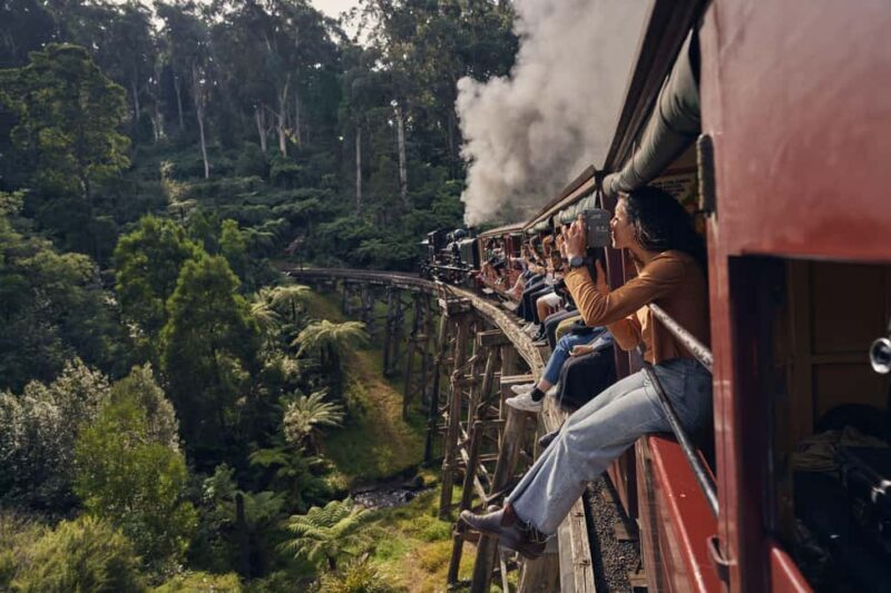 Melbourne: Puffing Billy Railway & Rainforest Tour - Key Points