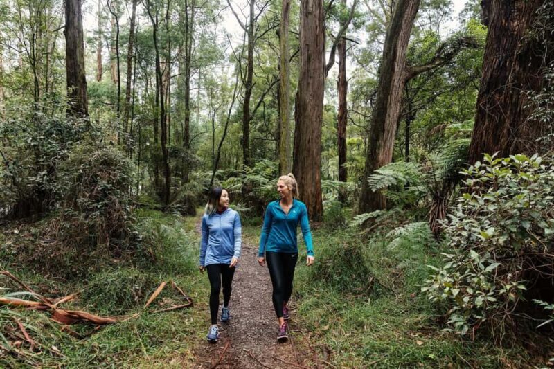 Melbourne: Puffing Billy Railway & Rainforest Tour - The Sum Up