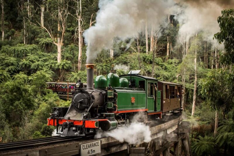 Melbourne: Puffing Billy Steam Train and Philip Island - Who This Tour Is Best For