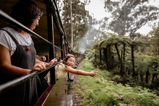 Melbourne Puffing Billy Train and Penguin Parade Day Tour Escape - Introduction to the Tour Experience