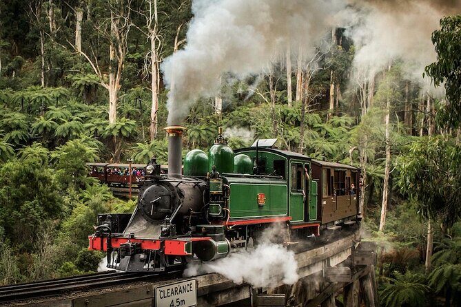 Melbourne Puffing Billy Train and Penguin Parade Day Tour Escape - Practical Considerations and Tips