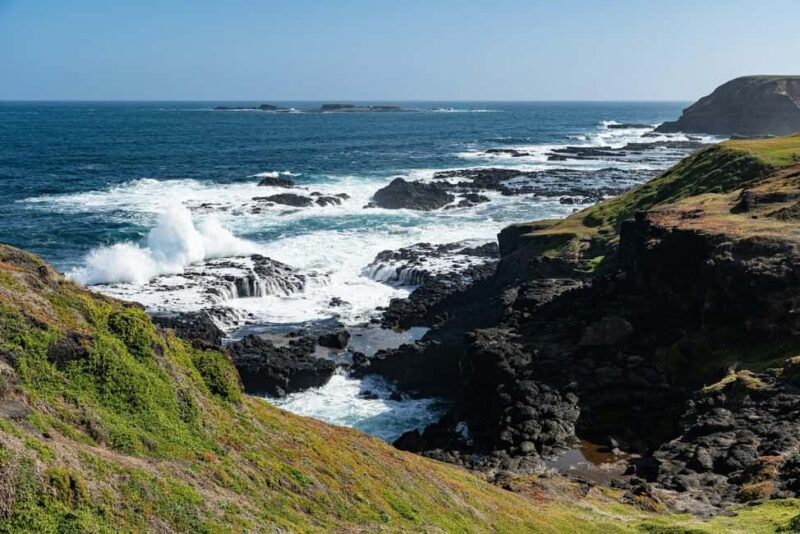 Melbourne: Puffing Billy Train & Penguin Island Excursion - Who Should Consider This Tour?