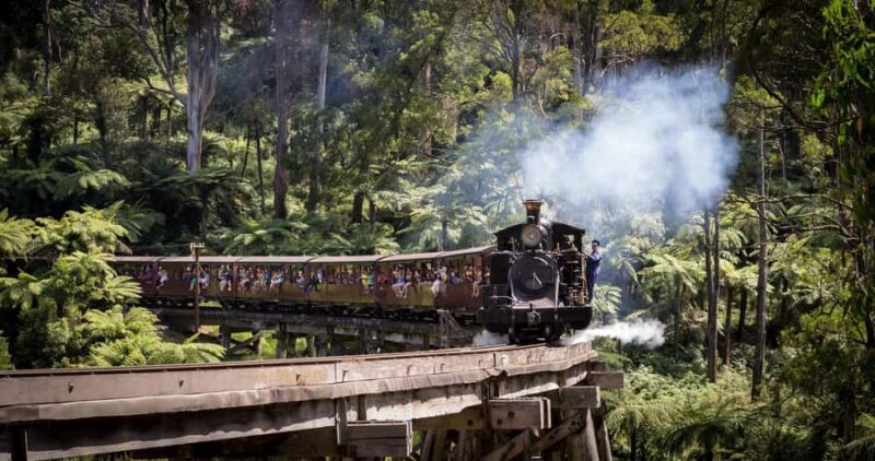 Melbourne: Puffing Billy Train & Penguin Parade Adventure - Practical Tips for Travelers