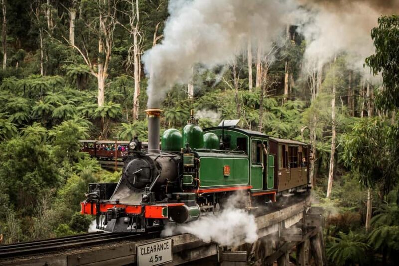 Melbourne: Puffing Billy Train Wildlife Zoo Private Tour - Key Points