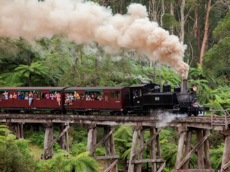 Melbourne: Puffing Billy Train Wildlife Zoo Private Tour - Introduction: An Authentic, Tailored Day in Melbourne