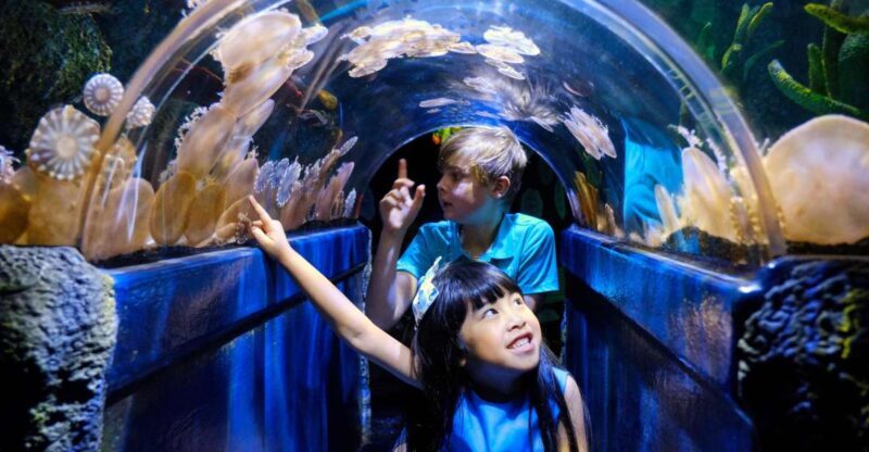Melbourne: SEA LIFE Aquarium Entrance Ticket - Key Points